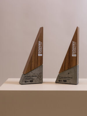 Sustainable Wooden Trophies & Awards | Design Awards