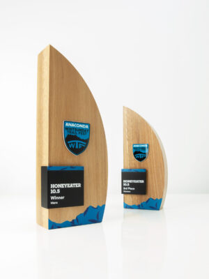 Sustainable Wooden Trophies & Awards | Design Awards